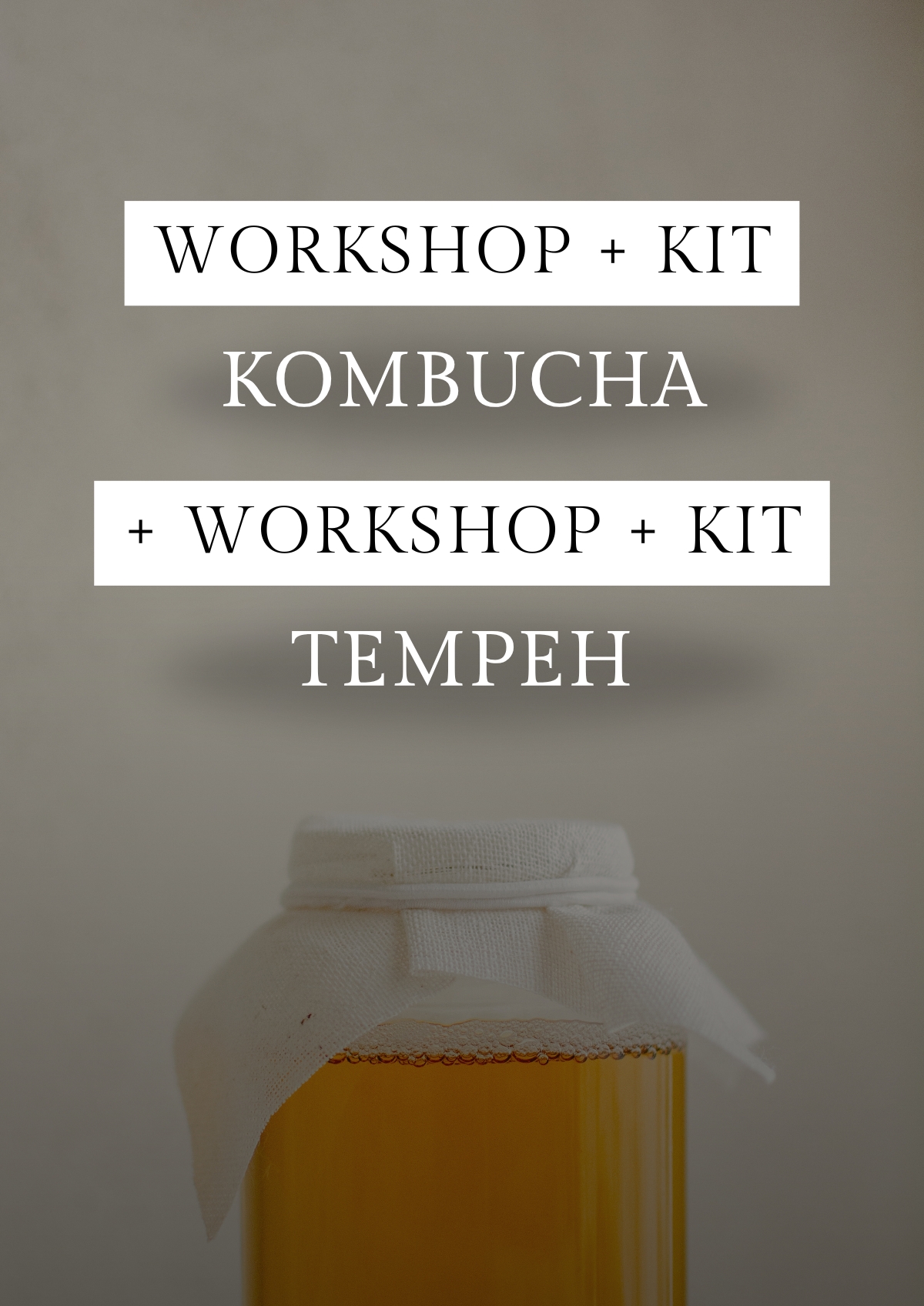 Workshop kombucha caseira + Workshop tempeh caseiro - Oksana Zagoruy